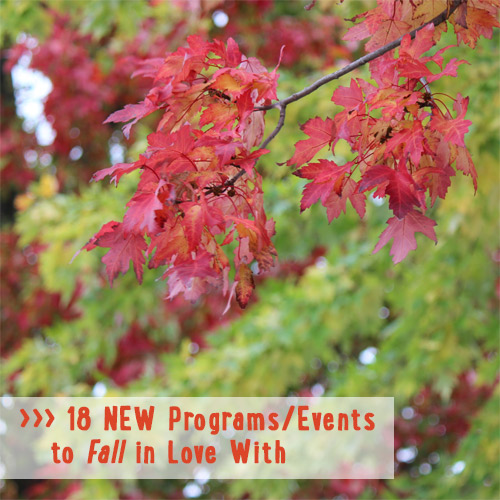 Blog-Image-fall-programs