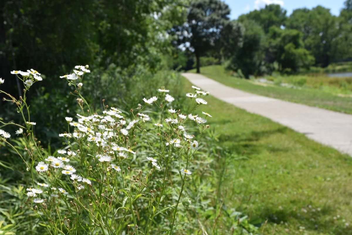 Heritage Park – Champaign Park District